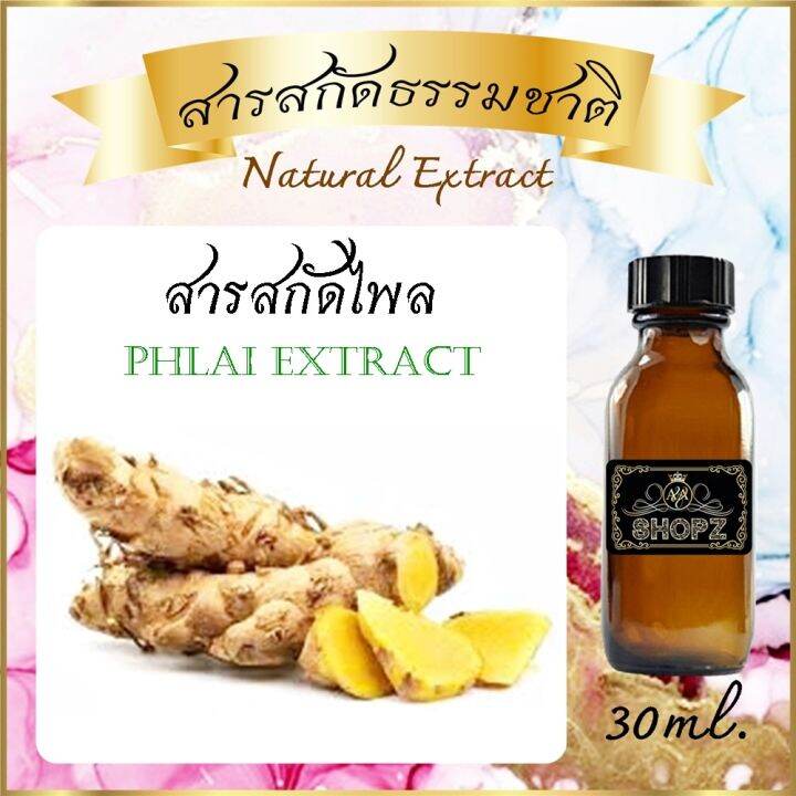 ️สารสกัดไพล ️ Phlai Extract ขนาด 30 ml. สารสกัดธรรมชาติ สารสกัดสมุนไพร ...