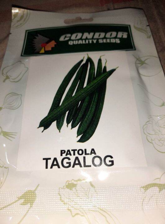 patola / silk squash / sponge gourd / patola tagalog - 7grams - Condor ...