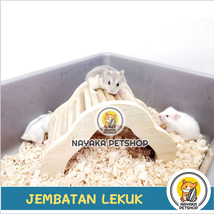 Jembatan Kayu Hamster Lekuk Besar Wood Bridge Mainan Hewan | Lazada ...