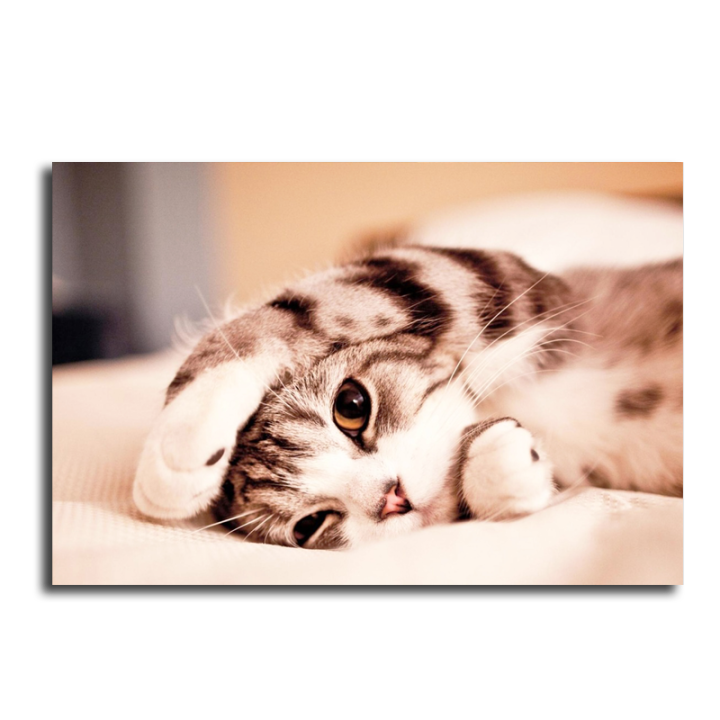 hiasan dinding kucing/ gambar kucing/ poster kucing/ hiasan dinding ...