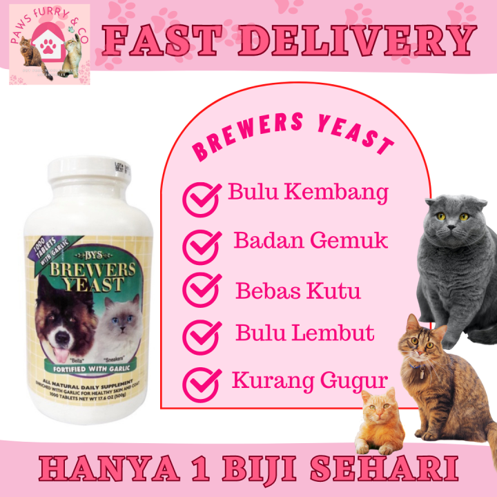 Vitamin Bulu BYS Brewer Yeast Repack Pil Gemok Kucing | Lazada