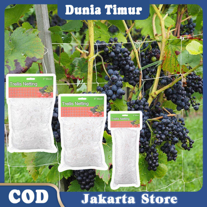 5m 10m 20m Jaring Tanaman Rambat Siap Pakai Jaring Buat Tanaman Jaring ...