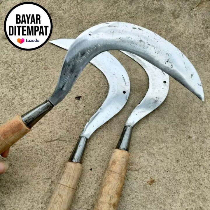 Sabit super tajam pemotong rumput-sabit pengaritan-baja asli super ...