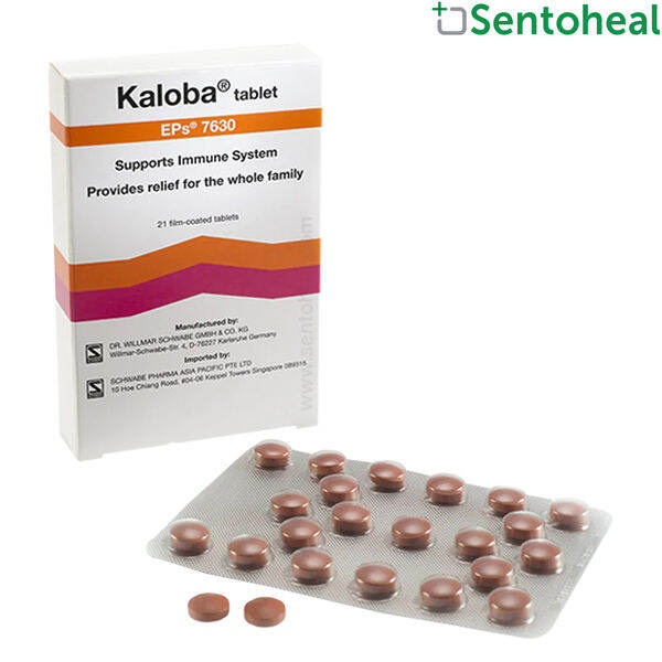 Kaloba Tablet 20mg 21 tablets - supports immune system/ care for cough ...