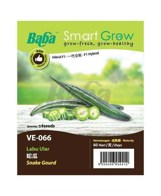 Baba Smart Grow seeds - VE-066 Snake Gourd 蛇瓜 Benih Labu Ular Benih ...