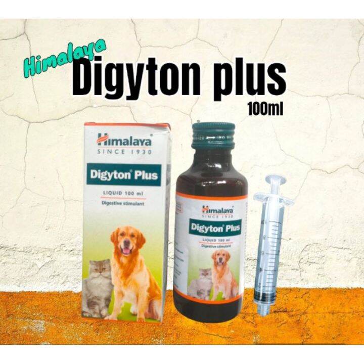Digyton Plus Liquid 100ml | Lazada PH