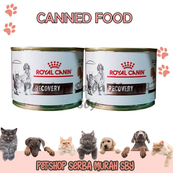 Royal Canin Recovery Canned Wet Food 195gr - Makanan Basah | Lazada ...