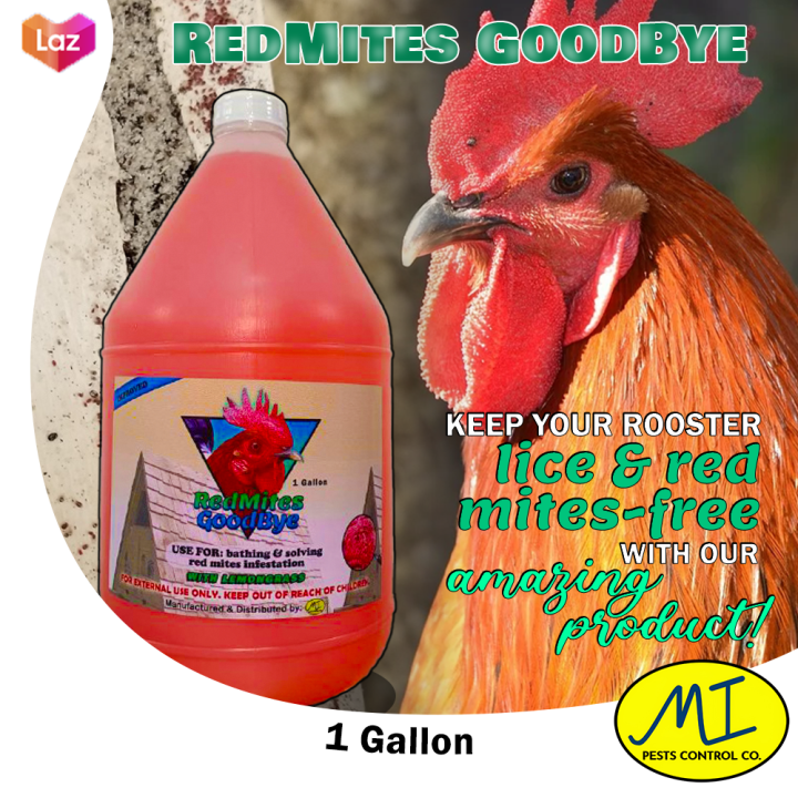 1 Gallon RedMites GoodBye // rooster shampoo // pamatay kuto ng manok ...