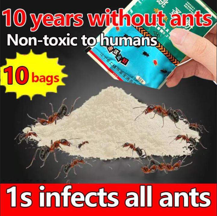 【whole nest died】ant bait termites killer powder ants killer powder 55g ...
