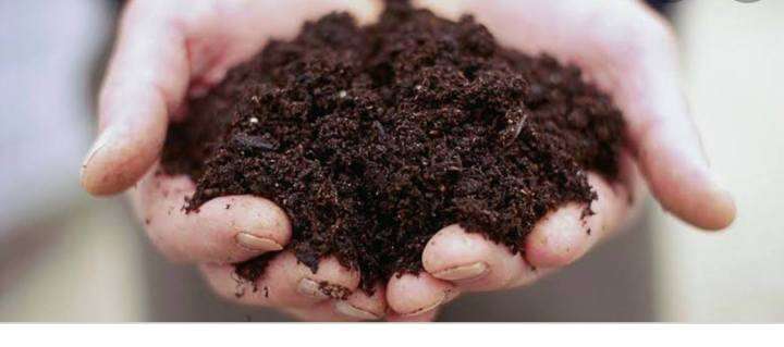 Soil Organic Plants Herbs Flower Soil 1kg with flower seed | Lazada PH