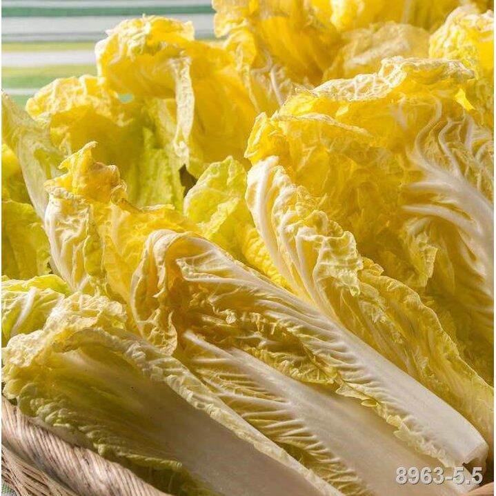 Egg yellow cabbage seedlings, middle school yellow heart Chinese ...
