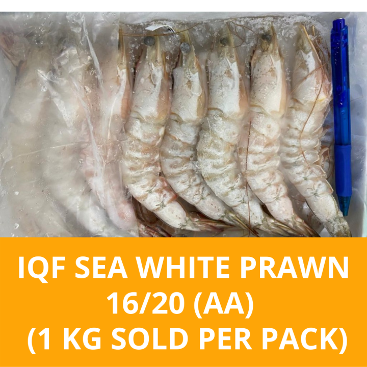 IQF Sea White Prawn 16/20 (AA) 1kg/pack (Sold per Pack) | Lazada
