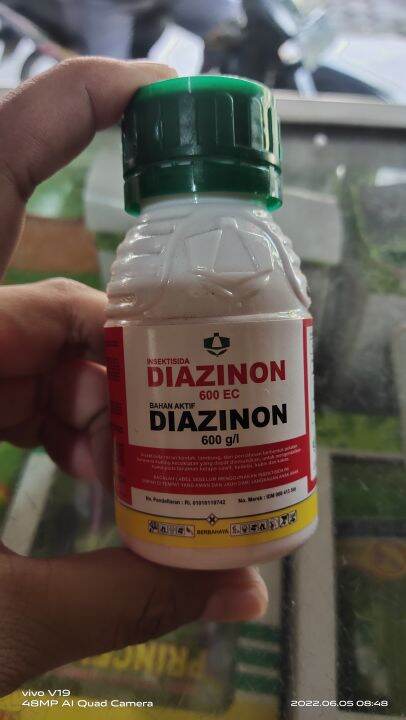 INSEKTISIDA DIAZINON 600EC 100ML | Lazada Indonesia