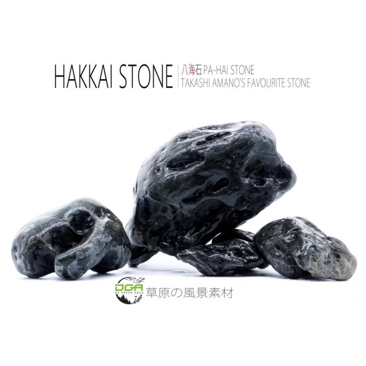 Aquascape JAPAN Hakkai Stone Amano stone(水草造景八海石） | Lazada
