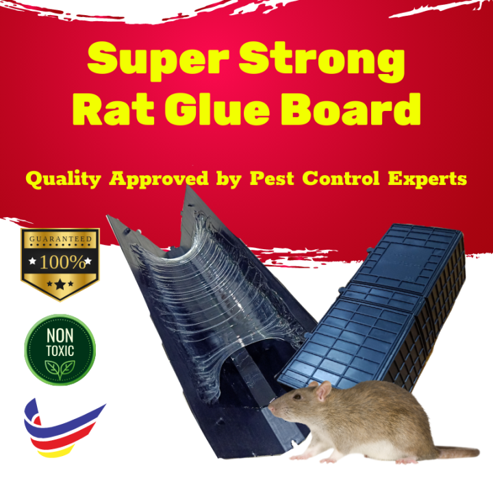 Premium Plastic Rat Glue Board/ Super Strong Glue/ Trap for Rodent Box/ Gam Tikus/ Perangkap ...