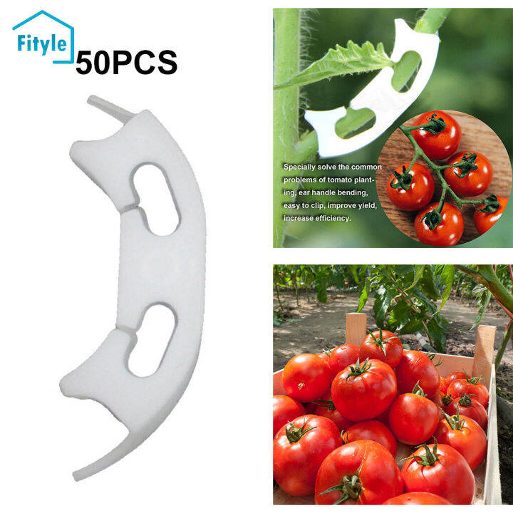 Fityle 50Pieces Vegetables Tomato Fixing Clips to Prevent Bending ...