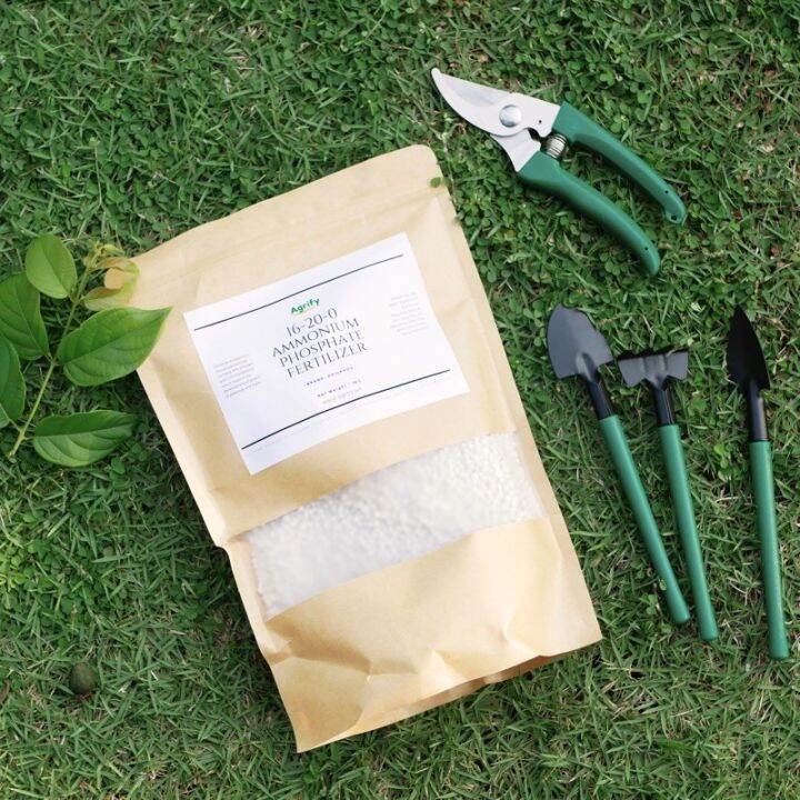 16-20-0 Ammonium Phosphate 1Kg Philphos | Lazada PH