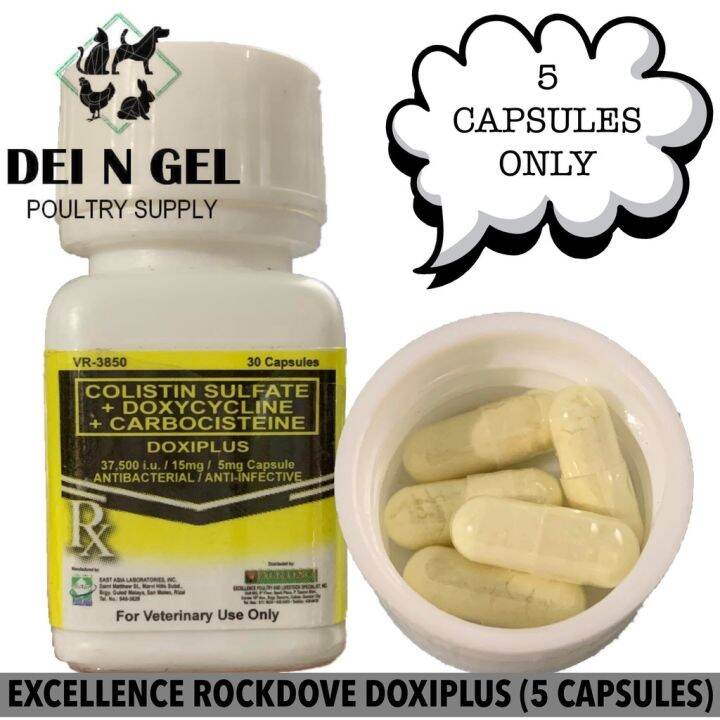 Doxiplus for Pigeon - Rockdove Excellence (5 CAPSULES) | Lazada PH