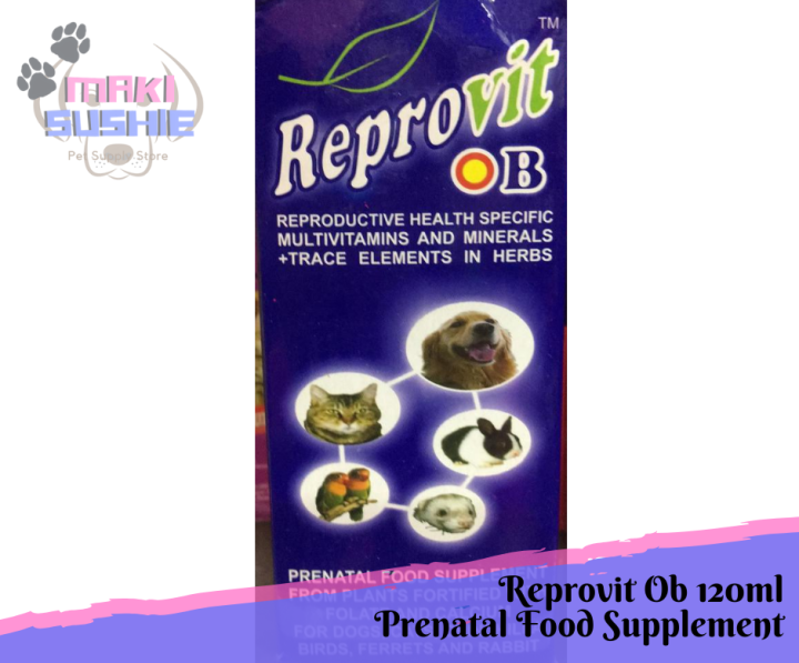 Reprovit OB 120ml Prenatal Food Supplement for Pets | Lazada PH