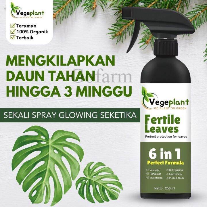 Gofarm Vegeplant Fertile Leaves- fungisida hilangkan jamur pada tanaman ...