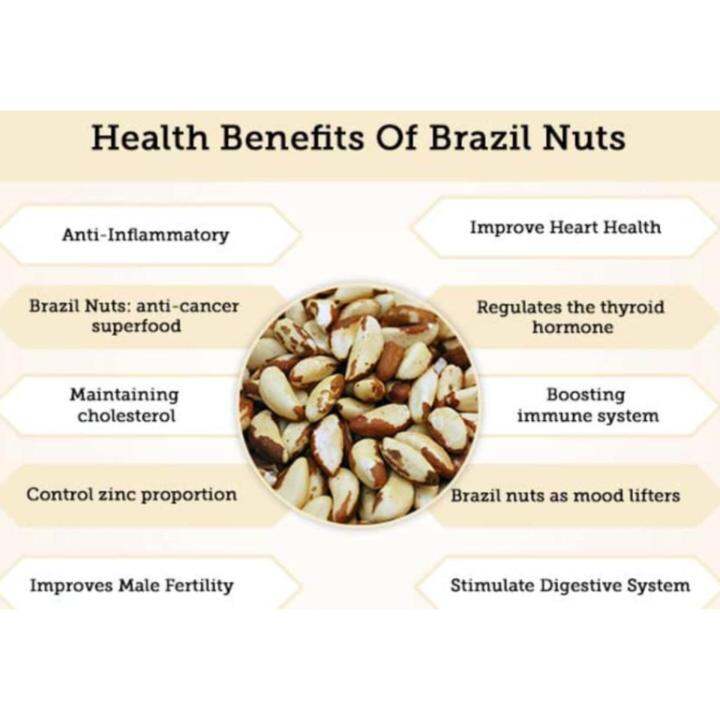 9.9 Sale Organic Premium Brazil Nut (1KG) | Lazada
