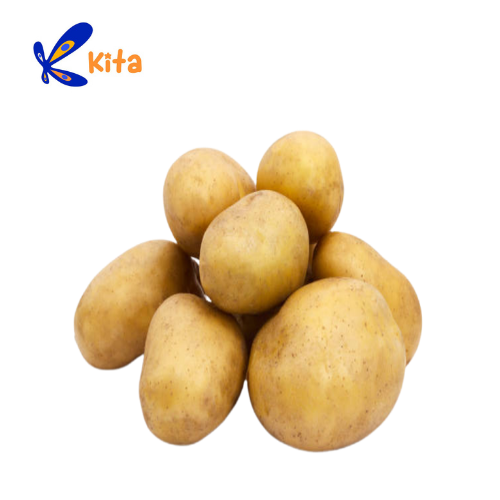 Potato - Patatas | Lazada PH