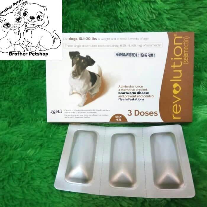 Revolution Dog - Anjing Berat 4-8 kg - Obat Tetes Kutu Anjing Mini ...