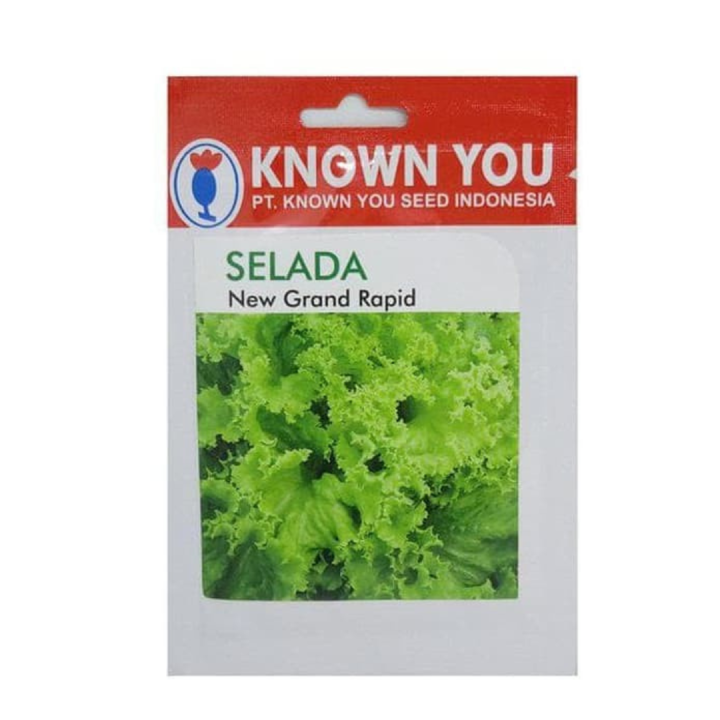 SELADA NEW GRAND RAPID 5 GRAM PACK KECIL Benih Biji Selada Hijau ...