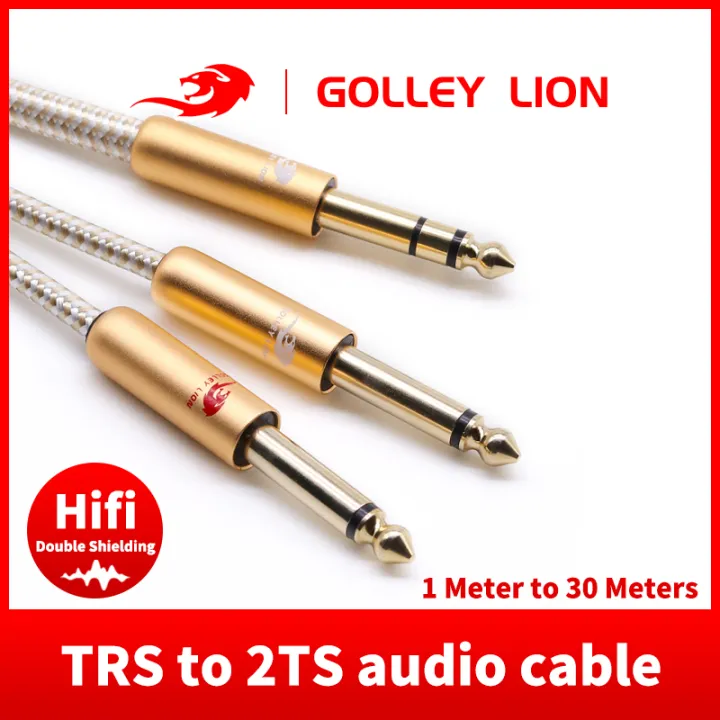 GOLLEY LION 1/4 to RCA Cable, Quarter inch TRS to RCA Audio Cable 6 ...