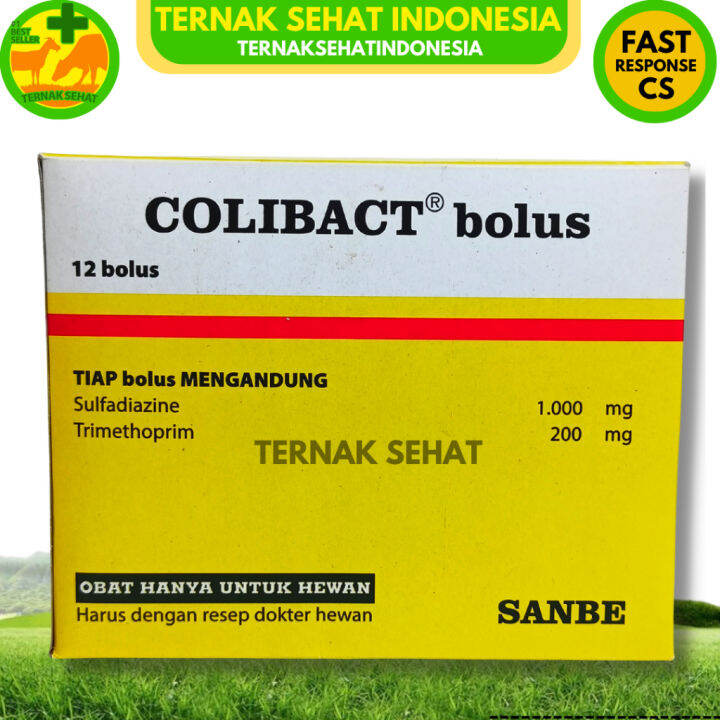 COLIBACT BOLUS 1 DUS (12 pcs) - Obat Infeksi Pencernaan dan Pernafasan ...