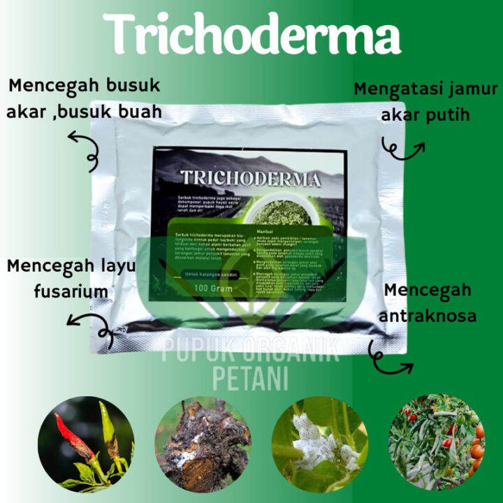 Pupuk Trichoderma Anti Layu Anti Busuk Kemasan 100 gram Pupuk Hayati ...