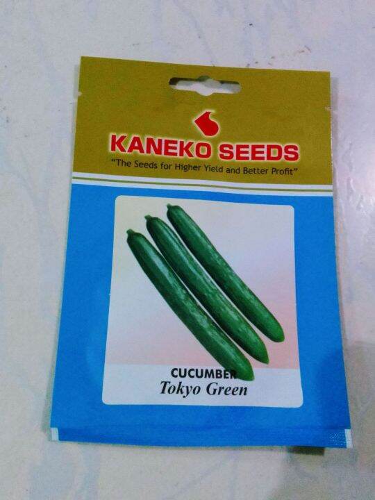 TOKYO GREEN HYBRID JAPANESE CUCUMBER SEEDS (1 GRMS/40SEEDS) KANEKO ...
