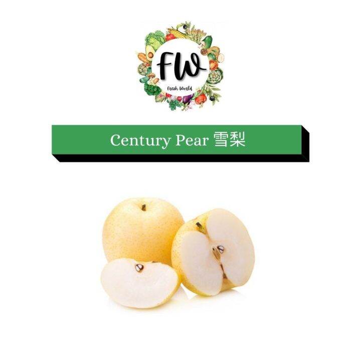 Century Pear 雪梨 3PCS / 5PCS | Lazada