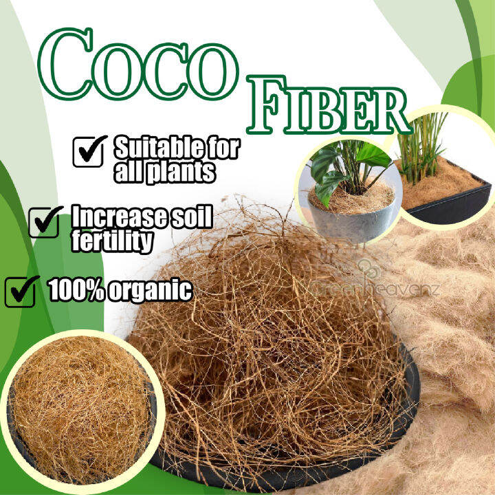 GHZ Coco Fiber Serat Coconut Fiber Cocofiber Coco Fibre Sabut Kelapa ...