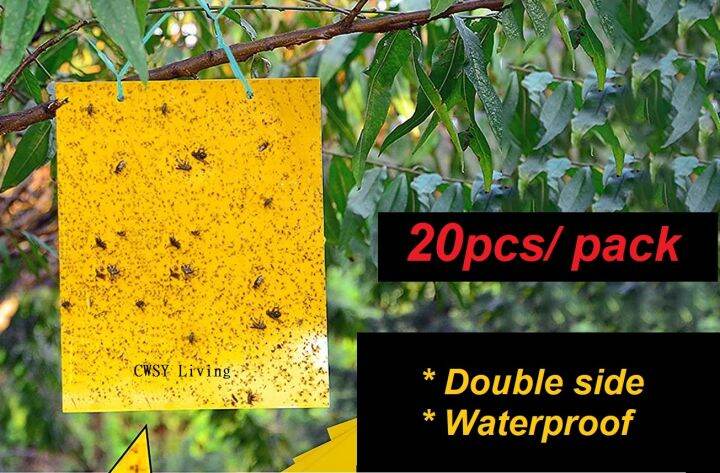 20pcs Double Side Yellow Sticky Fruit Flies Traps Insect Fly Glue Trap ...