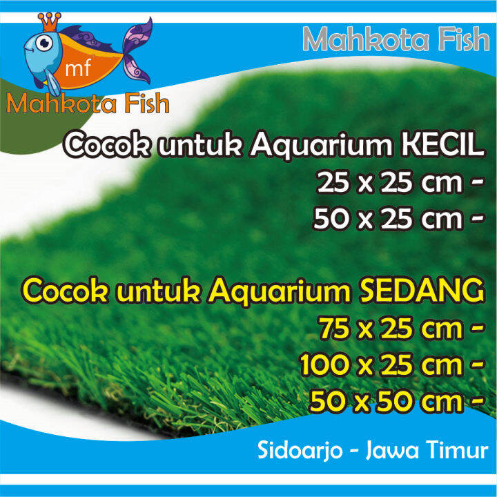 Rumput Aquarium Sintesis (Cocok Untuk AQUARIUM SEDANG) | Mainan Rumput ...