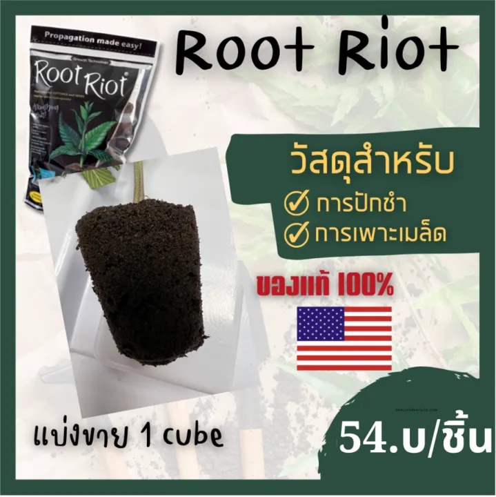 Root Riot Planter Cubes for Germination 1 cube ของแท้ 100% แบ่งขายเป็น ...