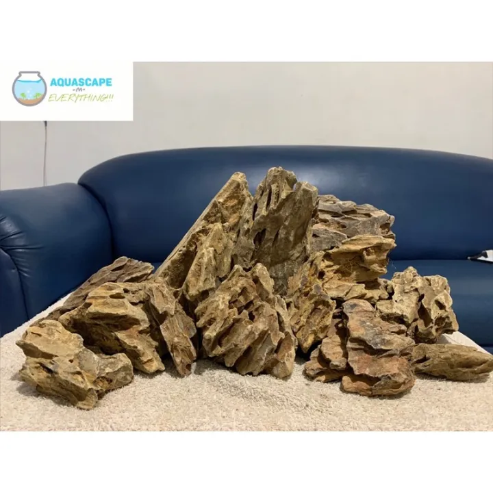 Dragon Stones for Aquarium Aquascape 1 Kilo | Lazada PH