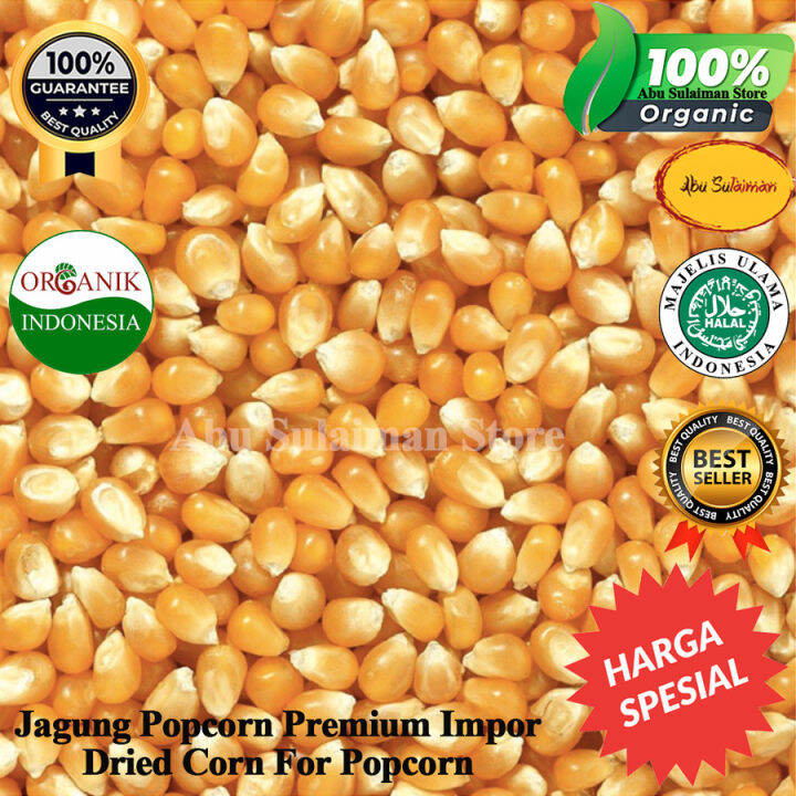 Jagung PopCorn 500 gr / Dried Corn Popcorn / Jagung Popcorn Impor Best ...