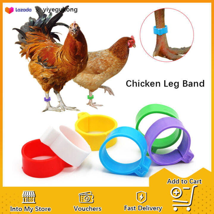 10Pcs/25Pcs/50Pcs/100Pcs Assorted Color Chicken Feet Tags Chicken Leg ...