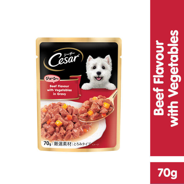 CESAR Dog Wet Food Pouch – Premium Dog Food for Adult Dogs in Beef ...