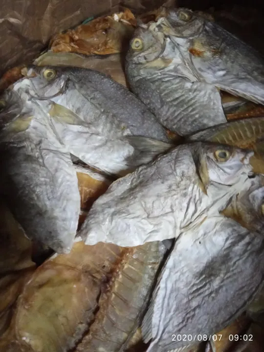 Tuyo, Dried Danggit with Bone fish, salt & sun dried, 1/2 KILO,perfect ...