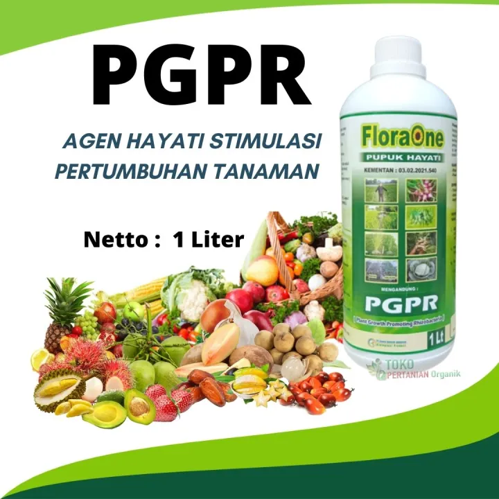 PGPR tanaman pupuk cair trichoderma, Fungisida Hayati Dekomposer pembuatan kompos tanah terbaik ...