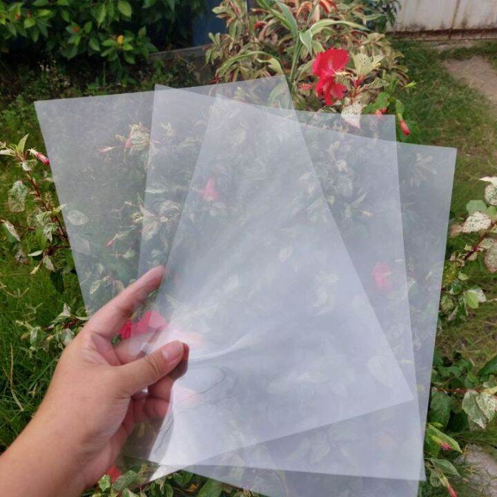 SHAKER FILM A4 Size Transparent Acetate 10pcs. per pack | Lazada PH