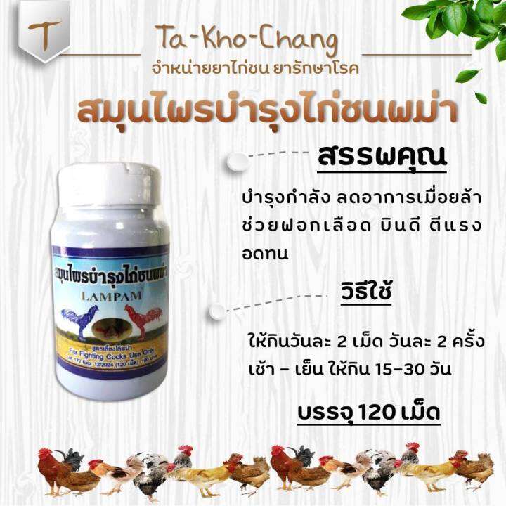 สมุนไพรบำรุงไก่ชนพม่า ยาไก่ชน ยาไก่ตี ลำปำ | Lazada.co.th