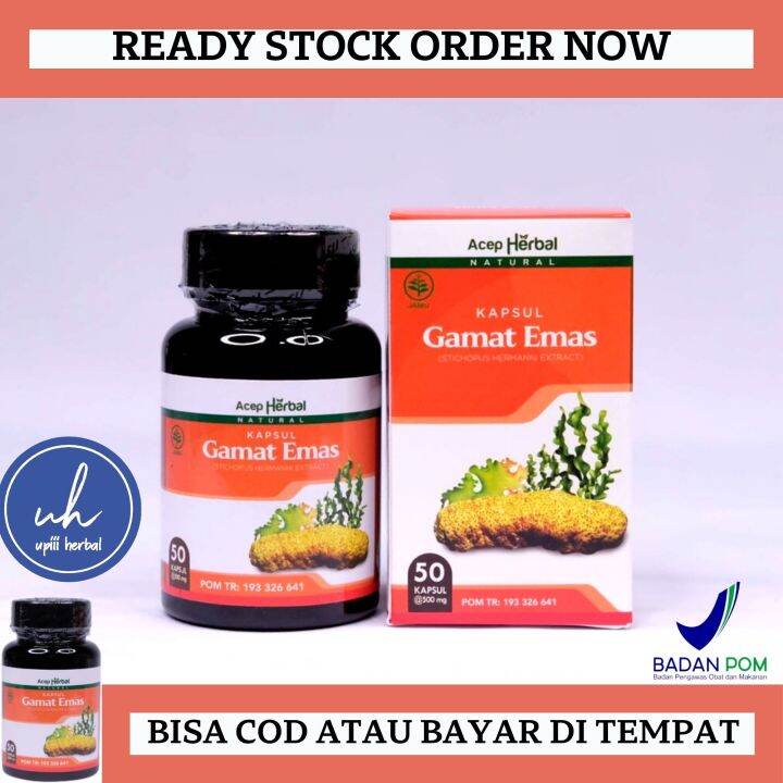 kapsul Gamat Emas Asli 100% Original Obat Herbal Multikhasiat Kapsul ...
