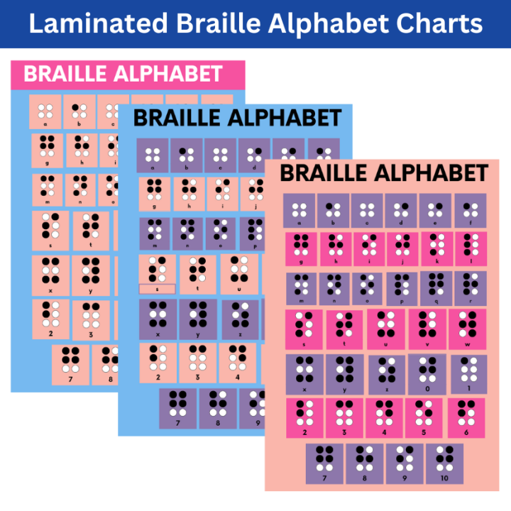 Laminated Braille Charts for Kids, Learners and Teachers | Lazada PH