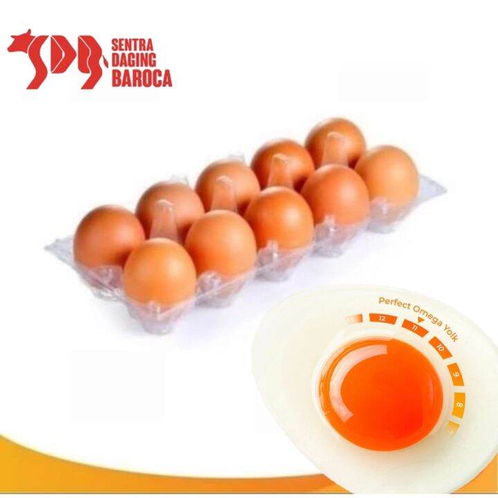 Telur Ayam Omega Premium 10 Butir | Lazada Indonesia