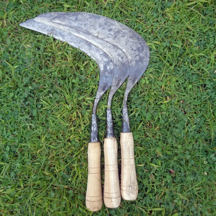 Arit Rumput Cap ROJIIN Asli Bahan Baja Isen Roda Gila Tajam Bergaransi ...