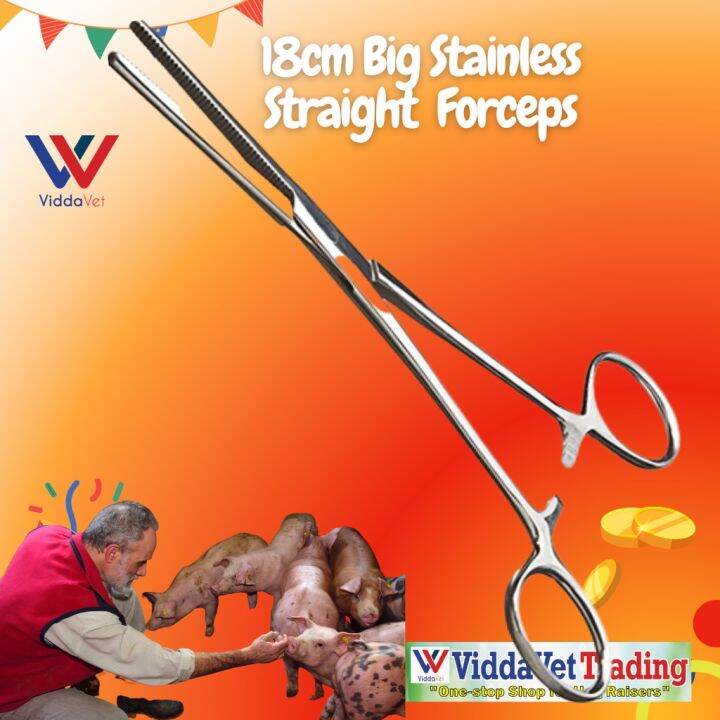 18 cm Forceps Straight Big Stainless Veterinary Hemostatic Surgical ...